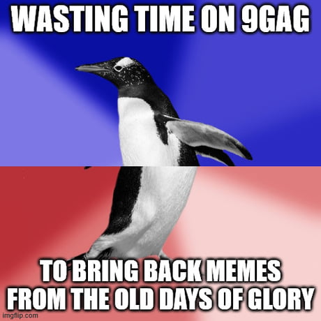 Memes De Pinguino
