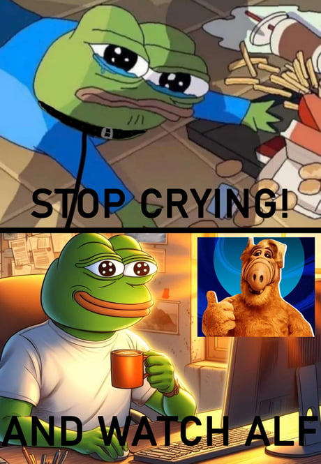 Best Funny Alf Memes 9gag