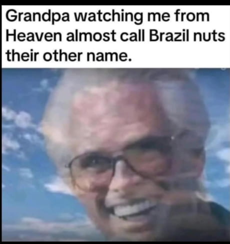 Funny Brazil Memes 140+ Brazil Meme Stock Photos, Pictures