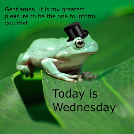 Leaf Frog Memes 480+ Frog Sitting On A Leaf Stock Illustrations,
