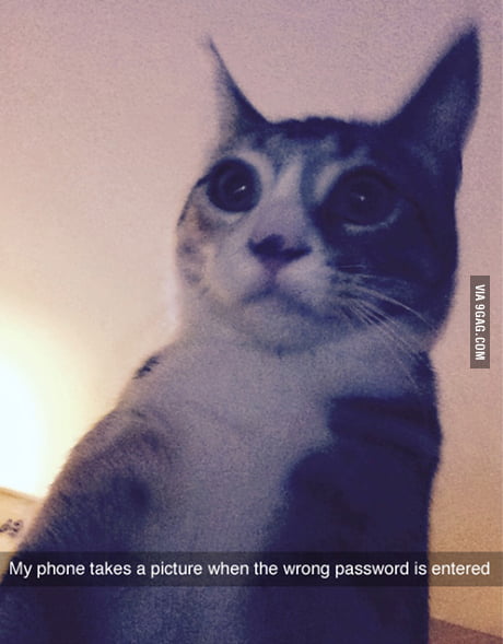 Funny Pictures Thread | Page 104 | OverTake (Formerly RaceDepartment)