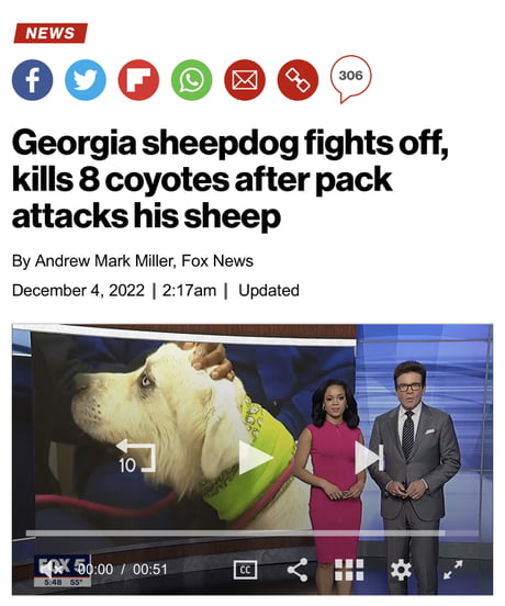 Best Funny home defense Memes - 9GAG