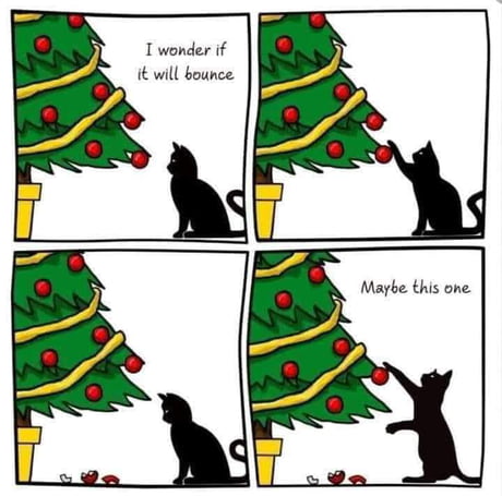 Best Funny cat meme Memes - 9GAG
