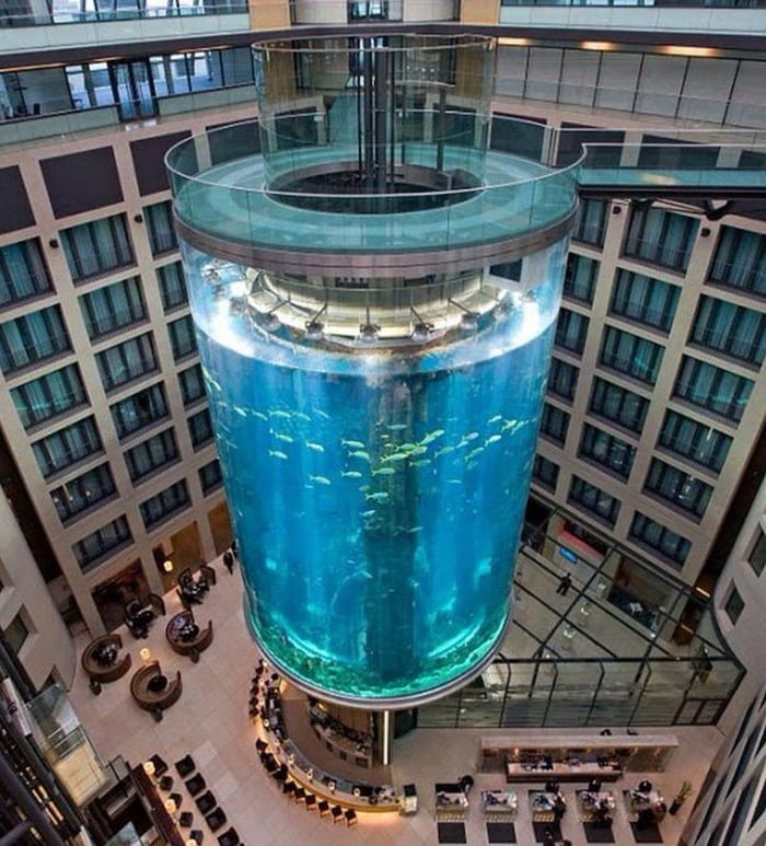 The AquaDom in Berlin, Germany, is a 25 m (82 ft) tall cylindrical ...