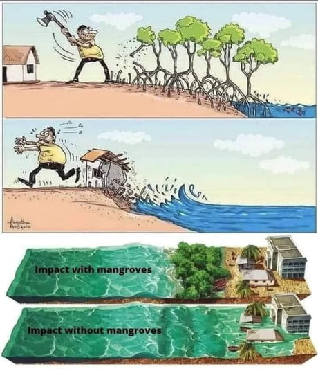 Best Funny tsunami Memes - 9GAG