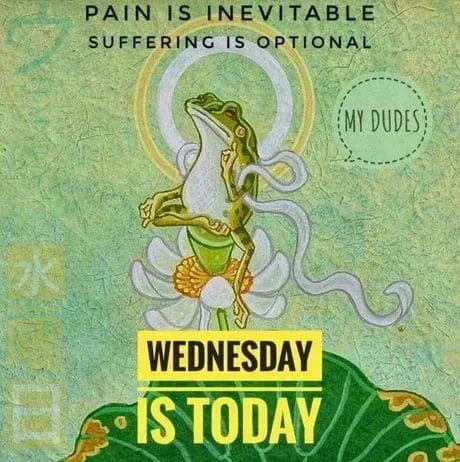 I wish you a zen Wednesday, my dudes - 9GAG