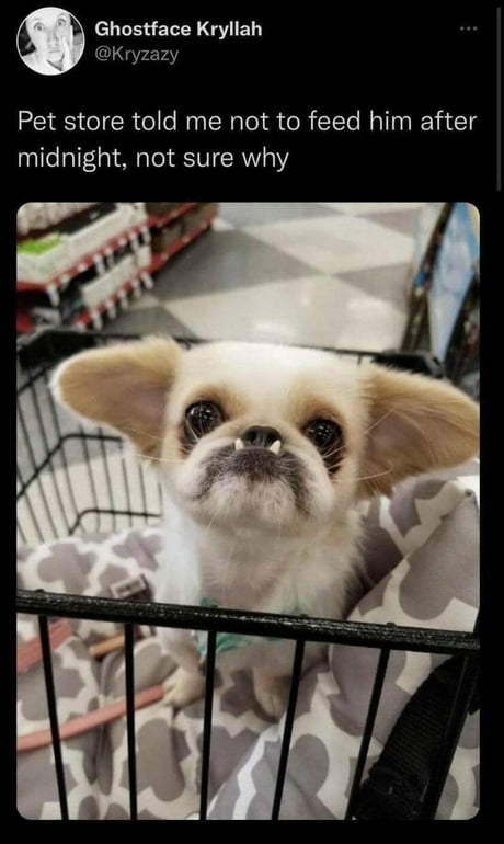 Best Funny gremlins Memes - 9GAG