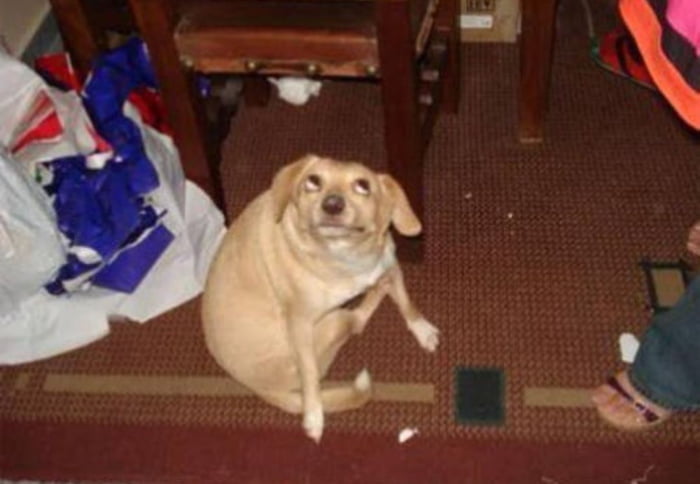 Bring back the classic memes! - 9GAG