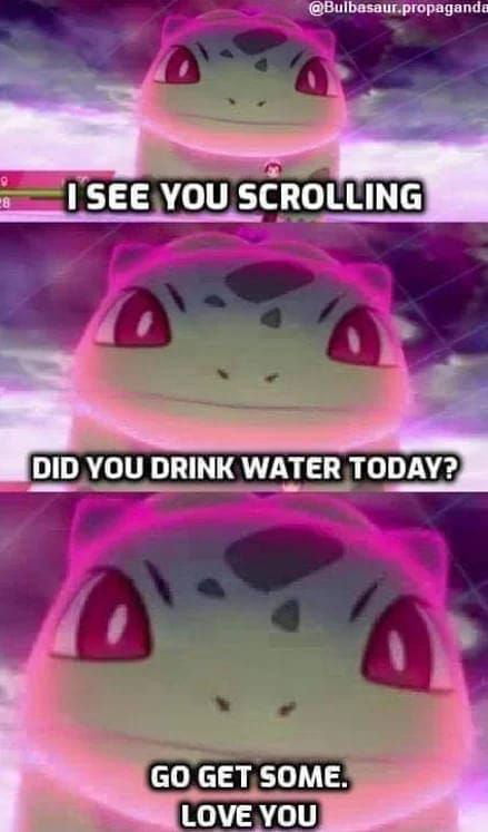 Best Funny bulbasaur Memes - 9GAG