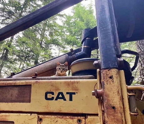 Best Funny bulldozer Memes - 9GAG