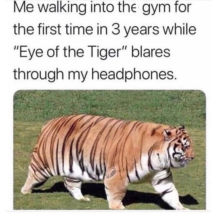 This time for sure - 9GAG