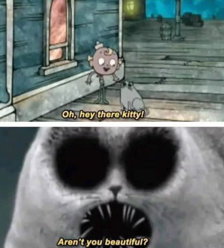 Flapjack Cat Memes The Marvelous Misadventures Of Flapjack GIF The