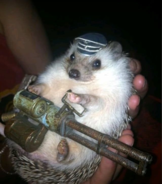 Small but strong - 9GAG