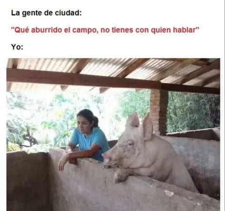 Memes Hocico