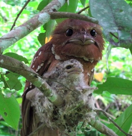 Nature is beautiful and surprising! (photo: Lassi Rautiainen) - 9GAG