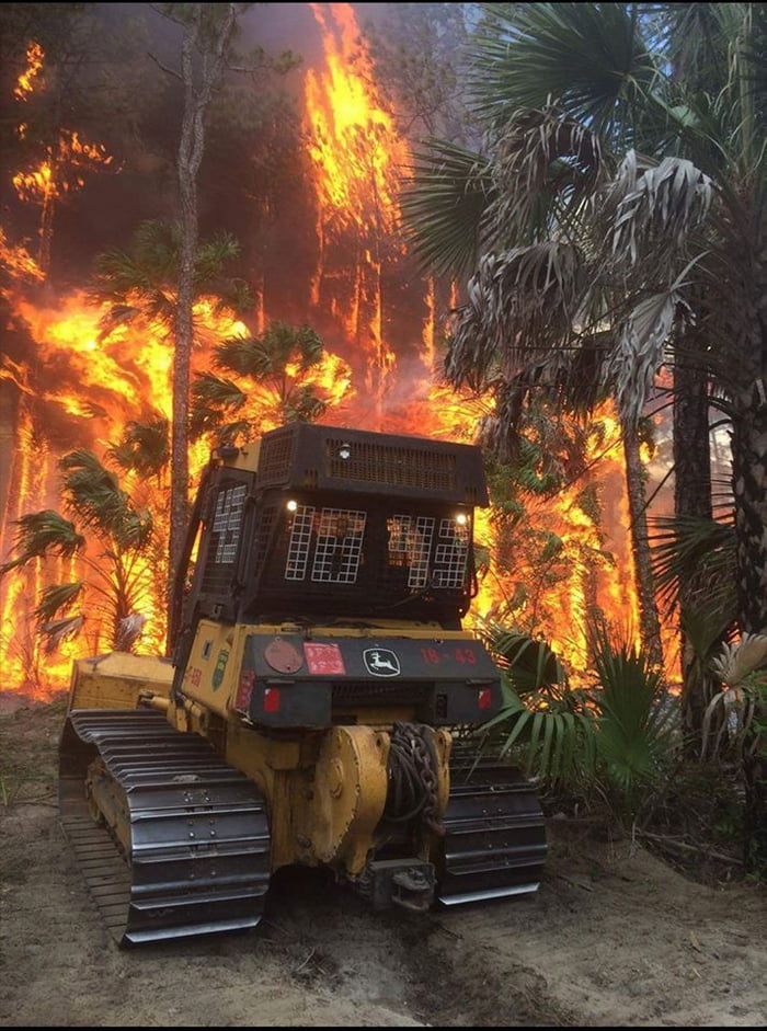 Florida Forestry Service bulldozer scrapes away vegetation ahead of a ...