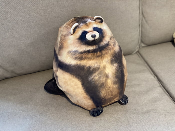 Transform This Adorable Tanuki Into A Cushion With A Single Zip - 9GAG