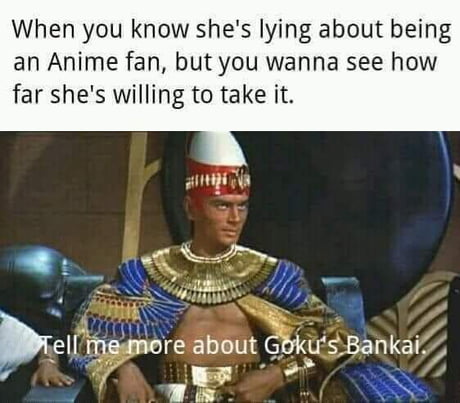 It Was All An Elaborate Ruse