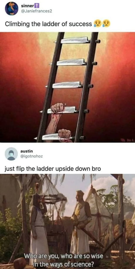 Ladder of success : r/Memes_Of_The_Dank