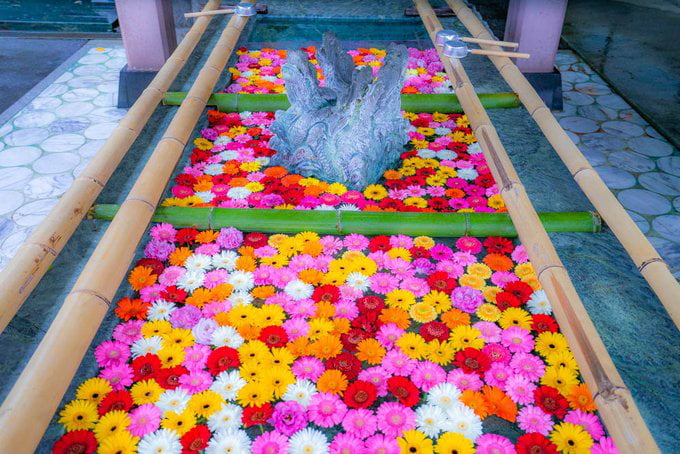 Shrines In Japan Are Arranging Floating Flower In Their Water Basins - 9GAG