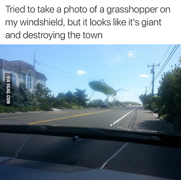 Alien invasion! Run for your lives! - 9GAG