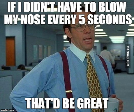 Funny Hay Fever Memes