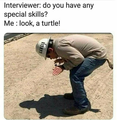 Memes Skills