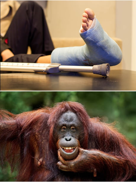 Memes Chistosos Hitler