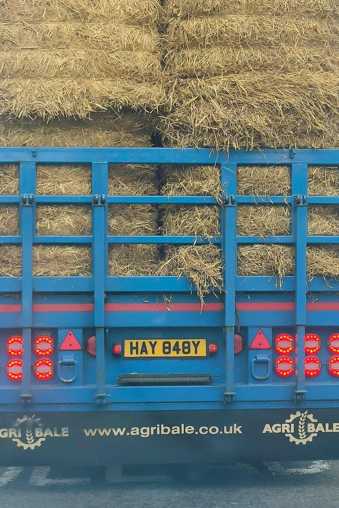 Heeeeyyy baybee (ooo ah) I wanna know right now if you'll be my girl - 9GAG