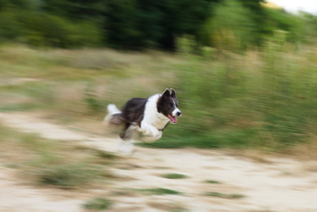 Best Funny speed Memes - 9GAG