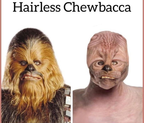 Best Funny Cursed Memes and Images - 9GAG