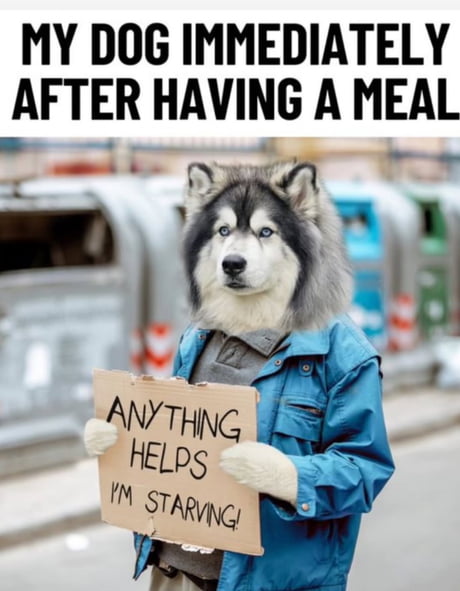 Best Funny ravenous Memes - 9GAG