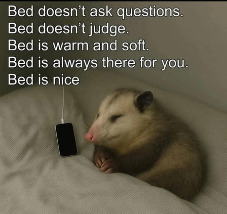 Best Funny bed Memes - 9GAG
