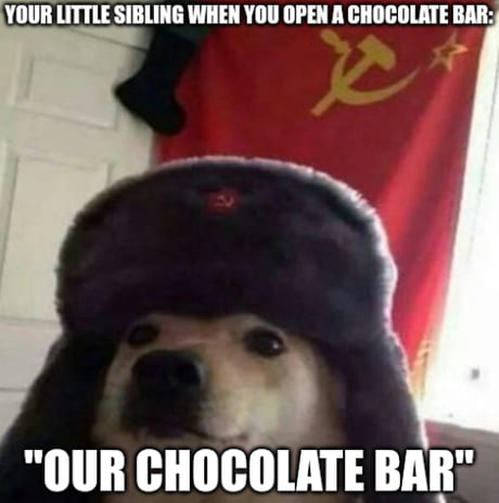 Lustige Doge Memes I Can Has Cheezburger? Doge Funny Animals