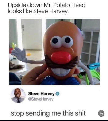 Grappige Schurk Steve Memes