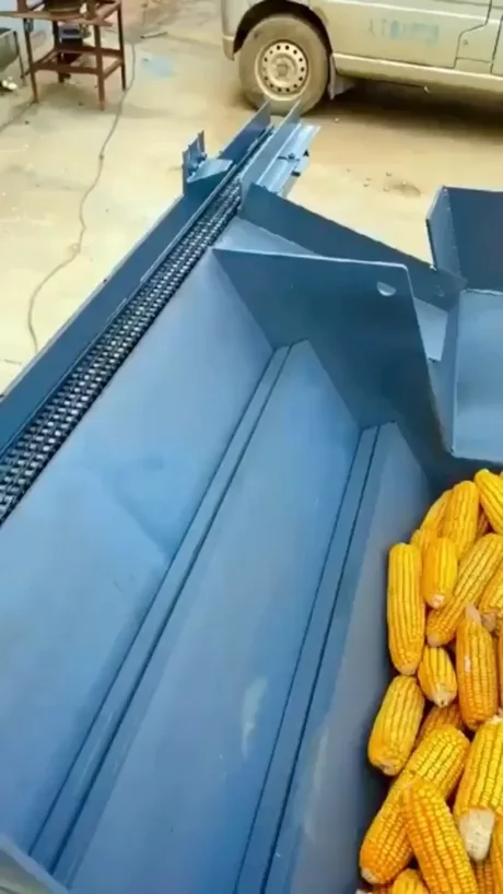 Corn An Domhain 14 Memes