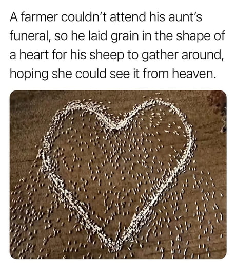 Best Funny funeral Memes - 9GAG