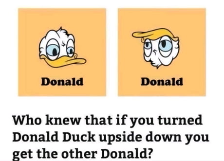 Best Funny donald duck Memes - 9GAG