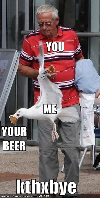 Best Funny beer Memes - 9GAG
