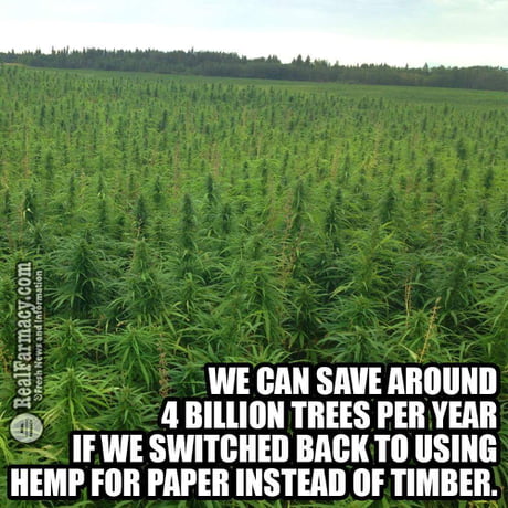 Best Funny sustainability Memes - 9GAG