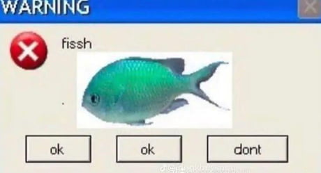 Best Funny fish Memes - 9GAG