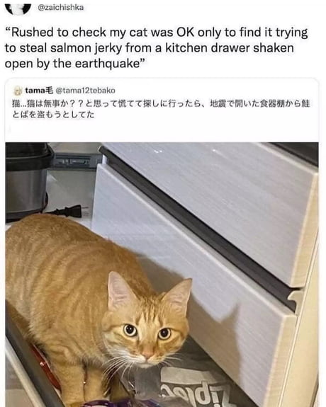 Best Funny opportunist Memes - 9GAG