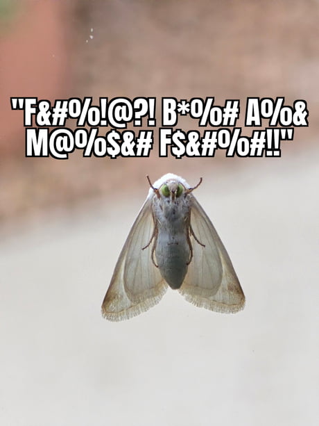 Best Funny censored Memes - 9GAG