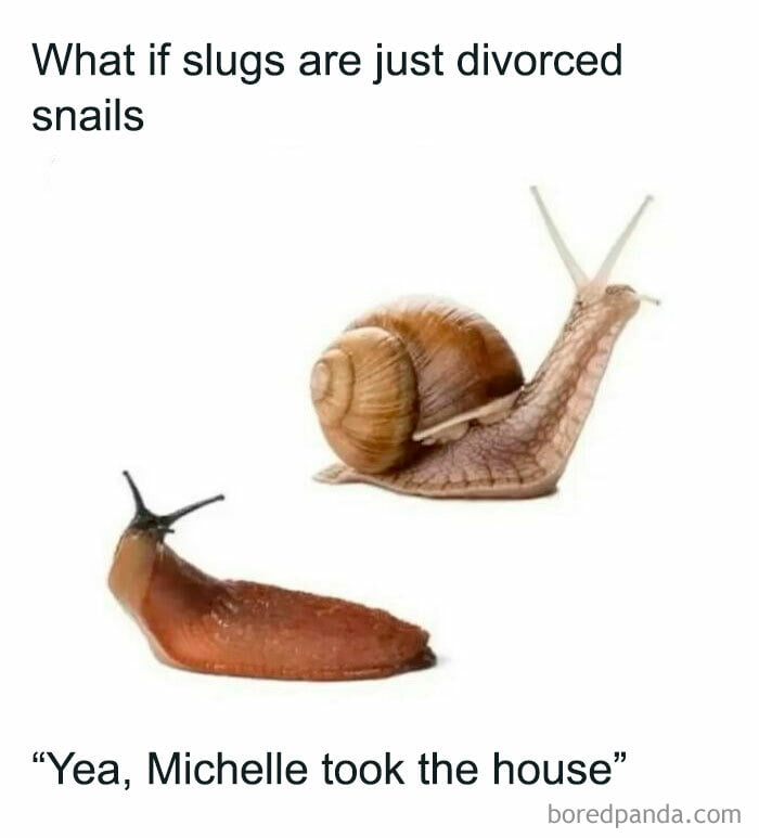 Feelin' Sluggish - 9GAG