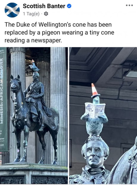 Best Funny duke Memes - 9GAG