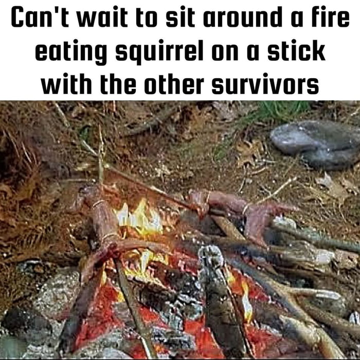 Chicken of the tree - 9GAG