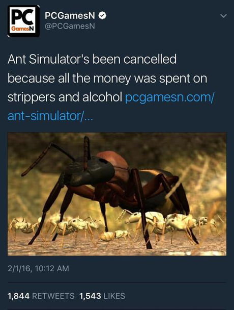 Best Funny ant Memes - 9GAG