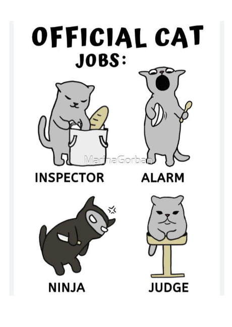 Funny and Cute Animal Memes - 9GAG