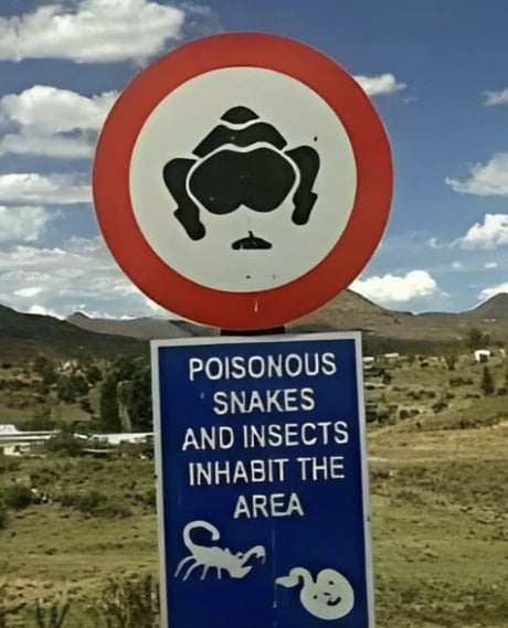 Best Funny snake Memes - 9GAG