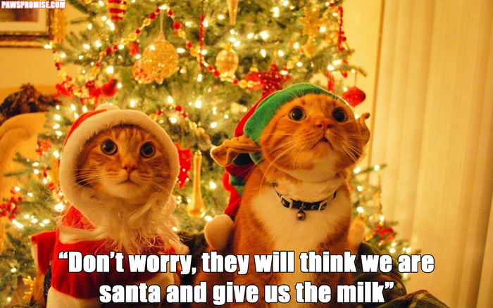 Santa looks kind of small this year - 9GAG